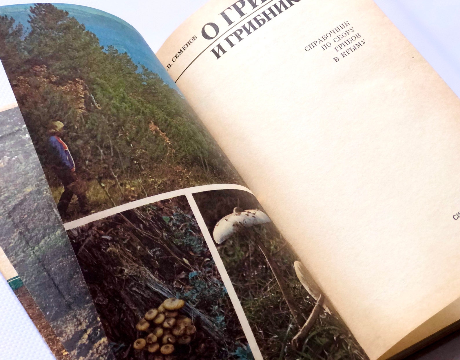 Mushroom Hunting Book 70 Botanical Fungi Illustration | Etsy