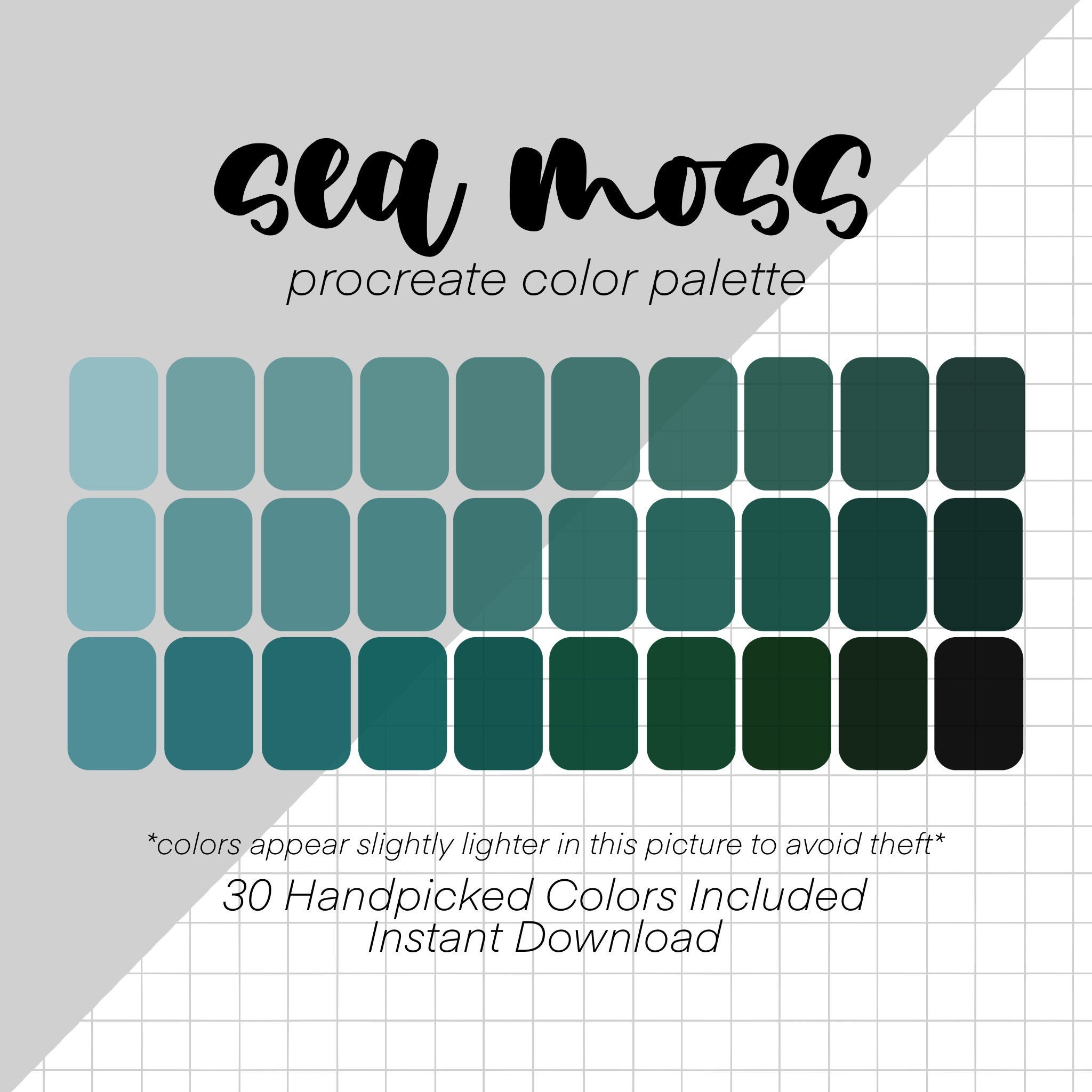 Sea Moss Procreate Color Palette (30 Colors) | Swatches | iPad ...