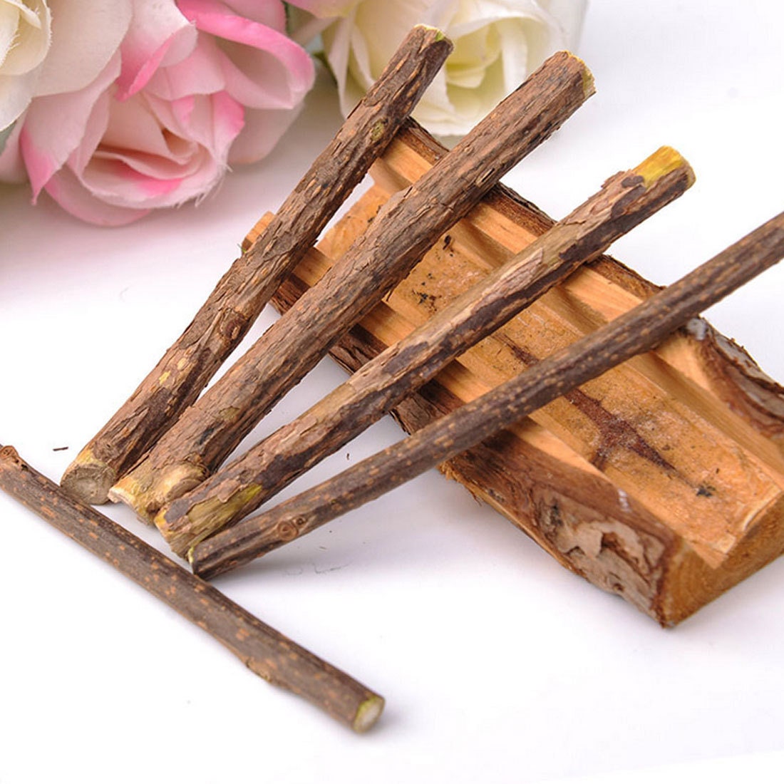 Natural Silvervine Matatabi Chew Sticks Set of 5 Cat Nip | Etsy