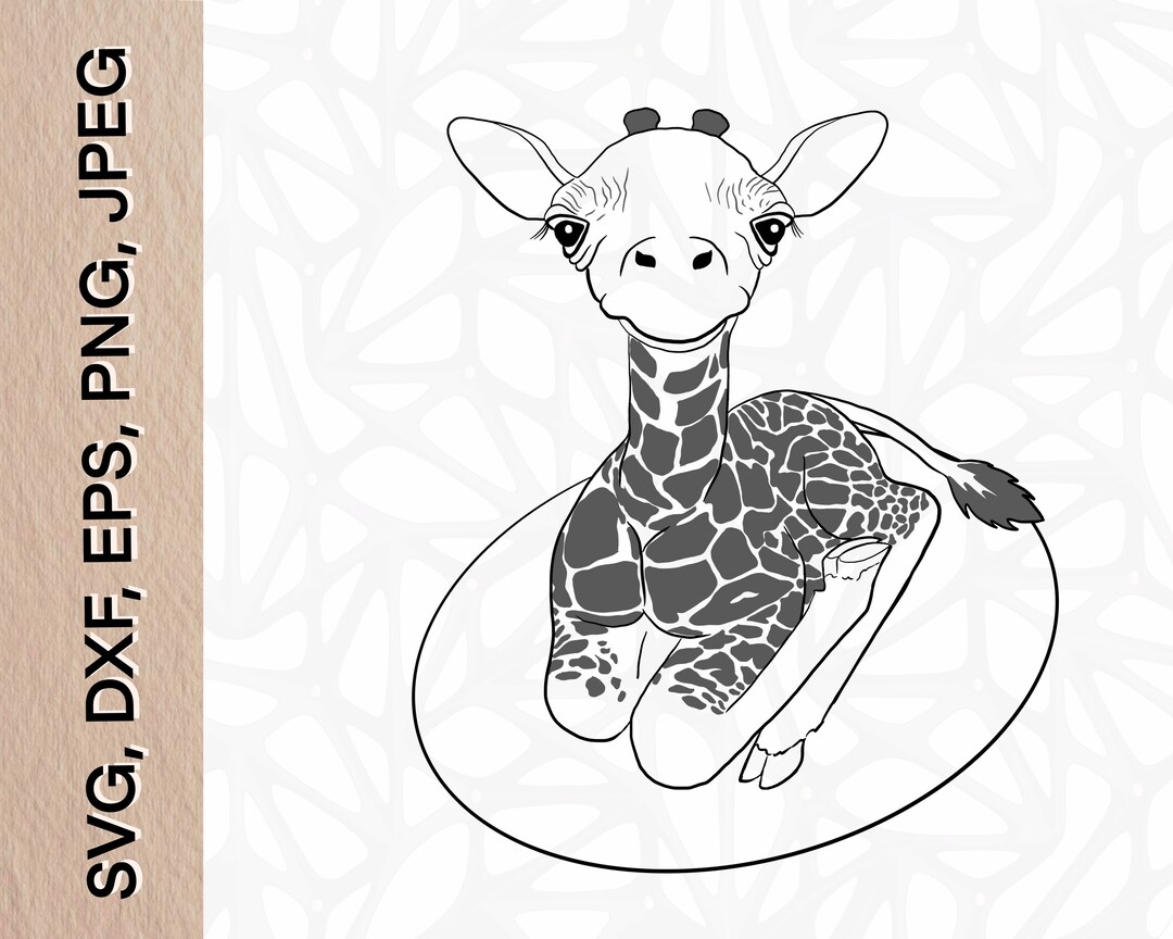 Zoo Animals Svg, Dxf, EPS,PNG, Jpeg Digital Files Little Giraffe - Etsy