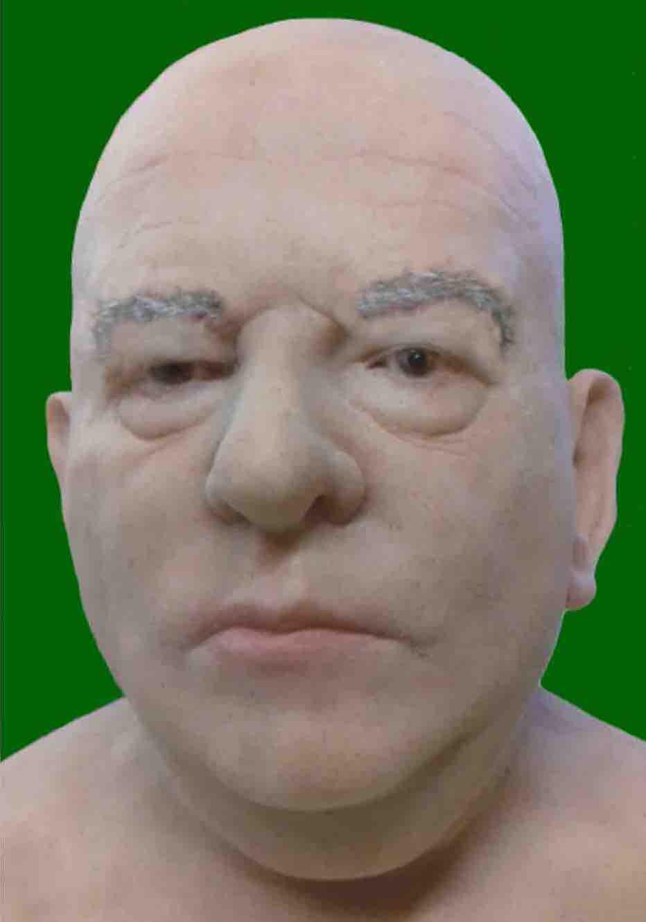 Realistic Silicone Disguise Mask, Mister H - Etsy
