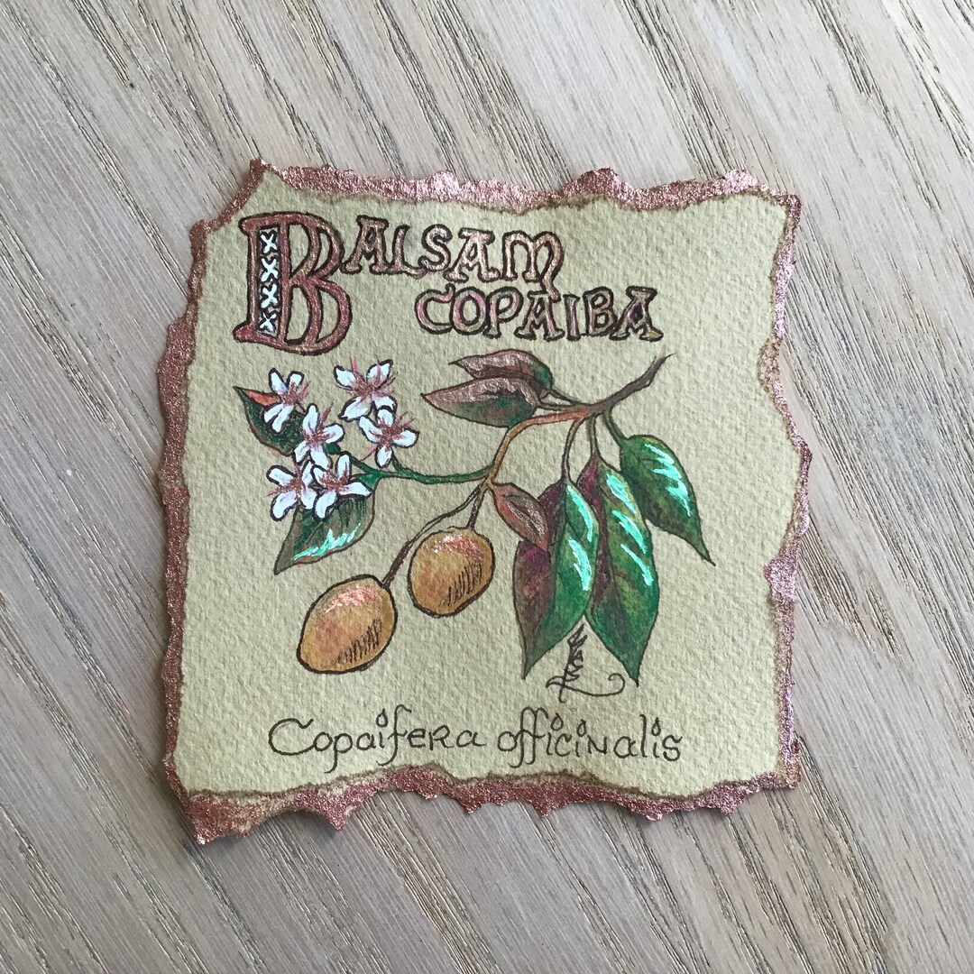 Balsam Copaiba Botanical Mini Painting - Etsy