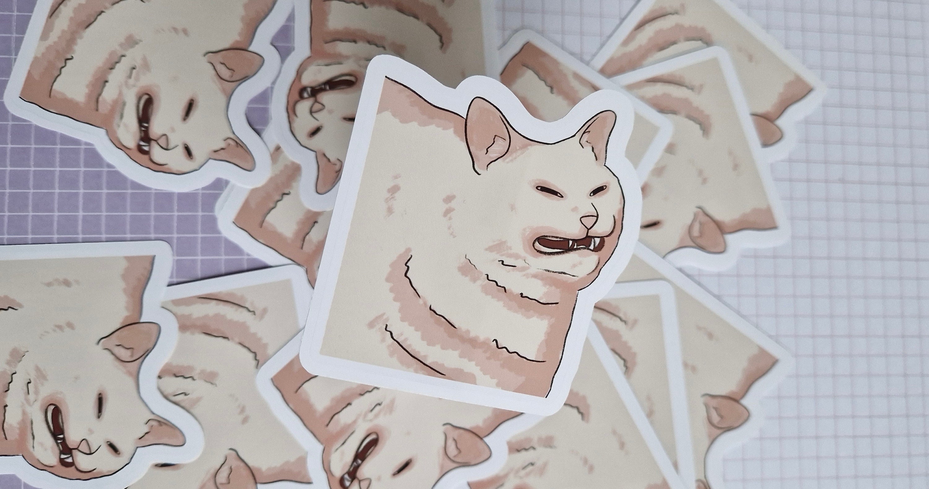 Hissing Angry Cat Meme Laminated Sticker - Etsy