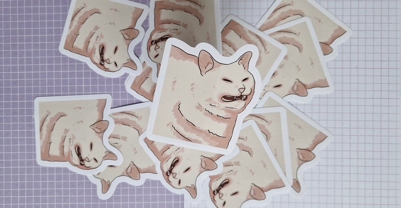 Hissing Angry Cat Meme Laminated Sticker - Etsy