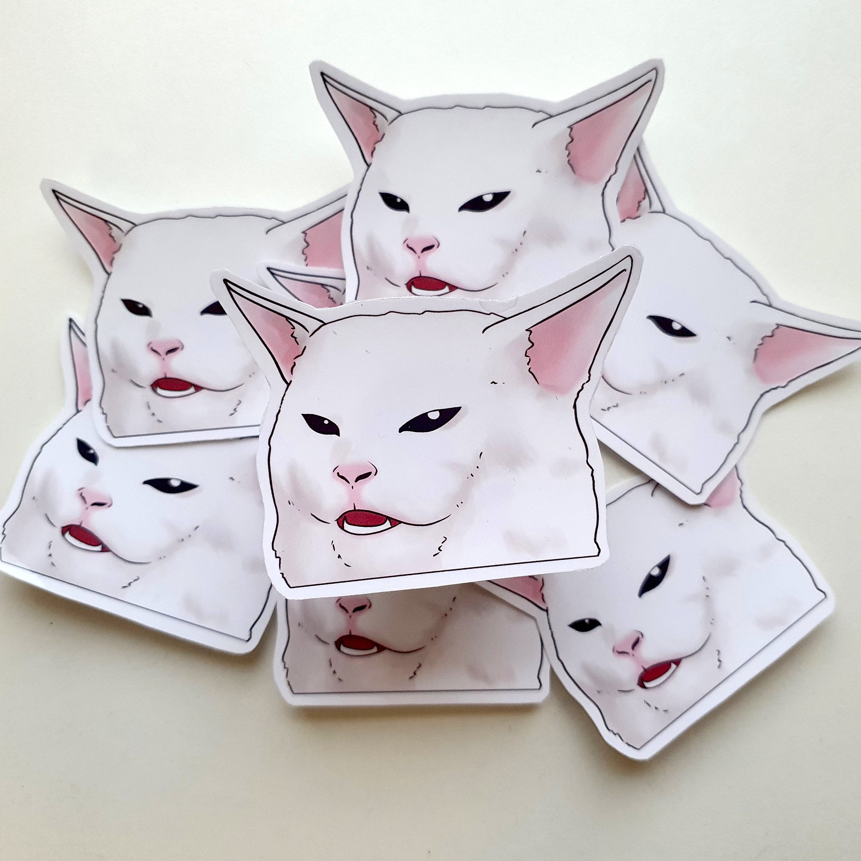 Confused Cat Meme Laminated Sticker - Etsy