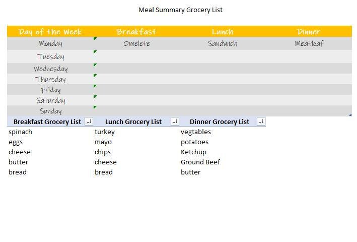 Daily Meal Prep & Grocery List Through Excel - Etsy