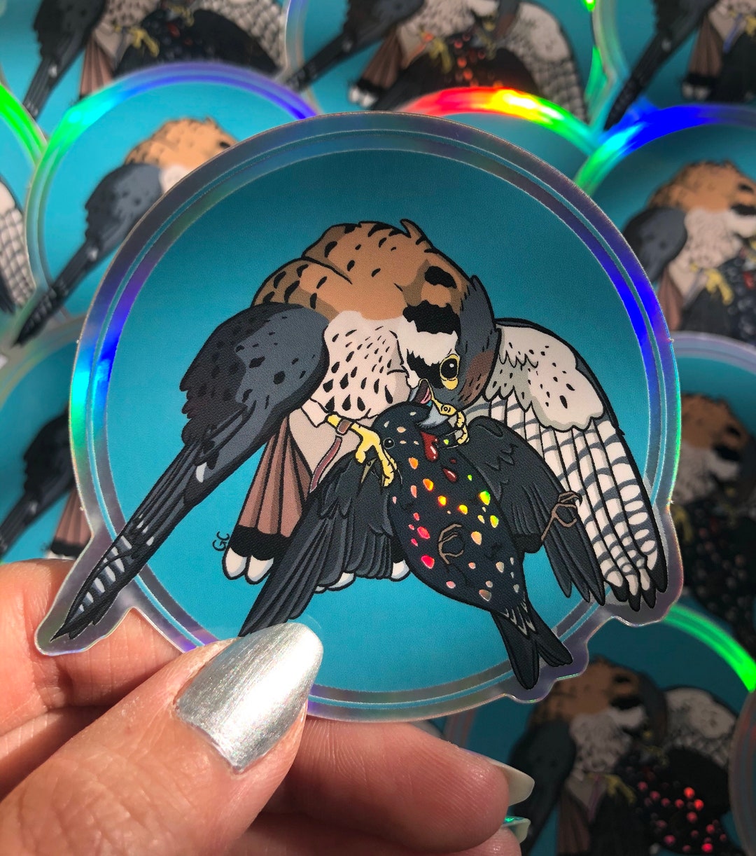 Kestrel Sticker/ Bird Sticker/ Holographic Falconry Sticker/ Raptor ...
