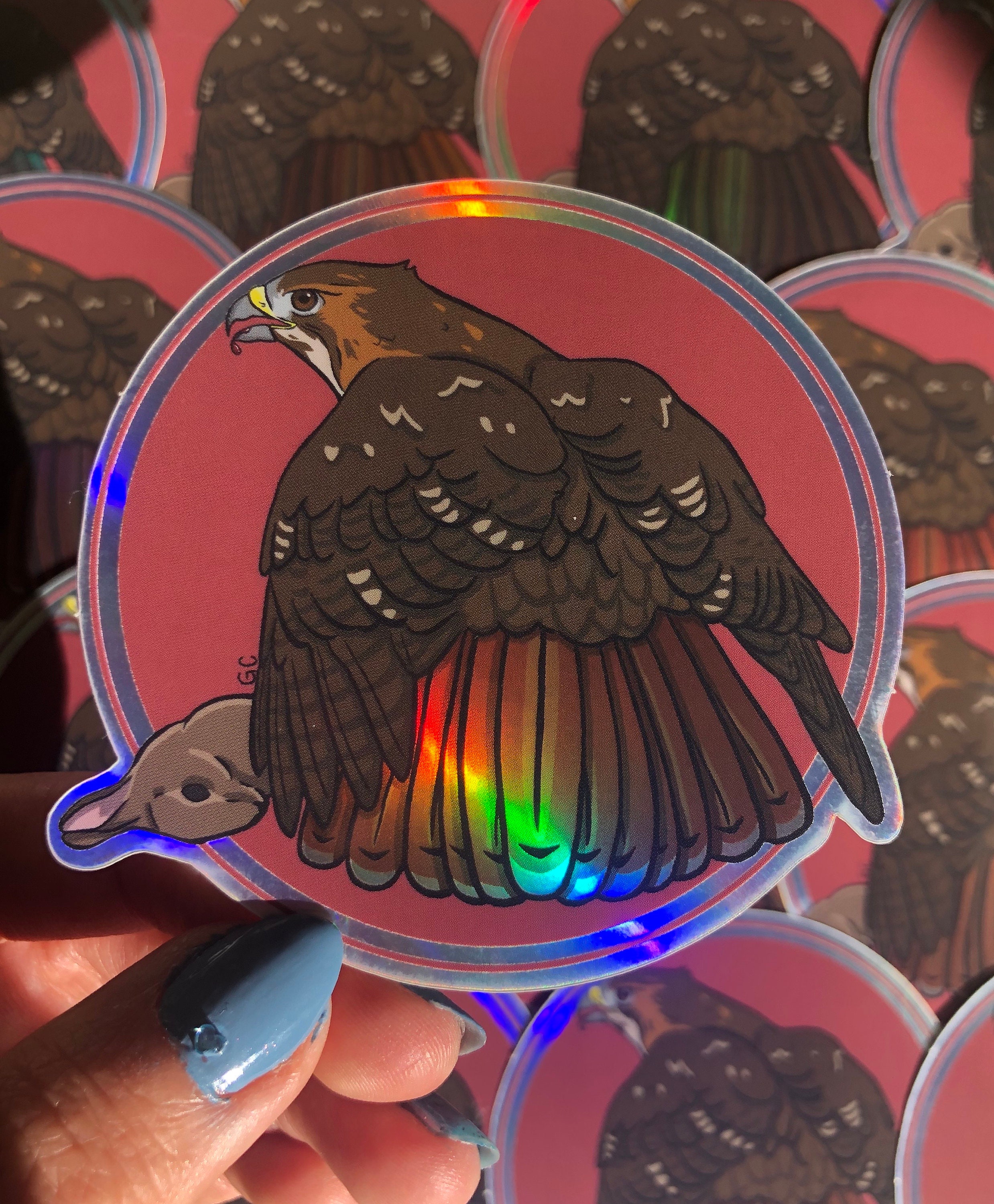 Red-tailed Hawk Sticker/ Bird Sticker/ Holographic Falconry | Etsy
