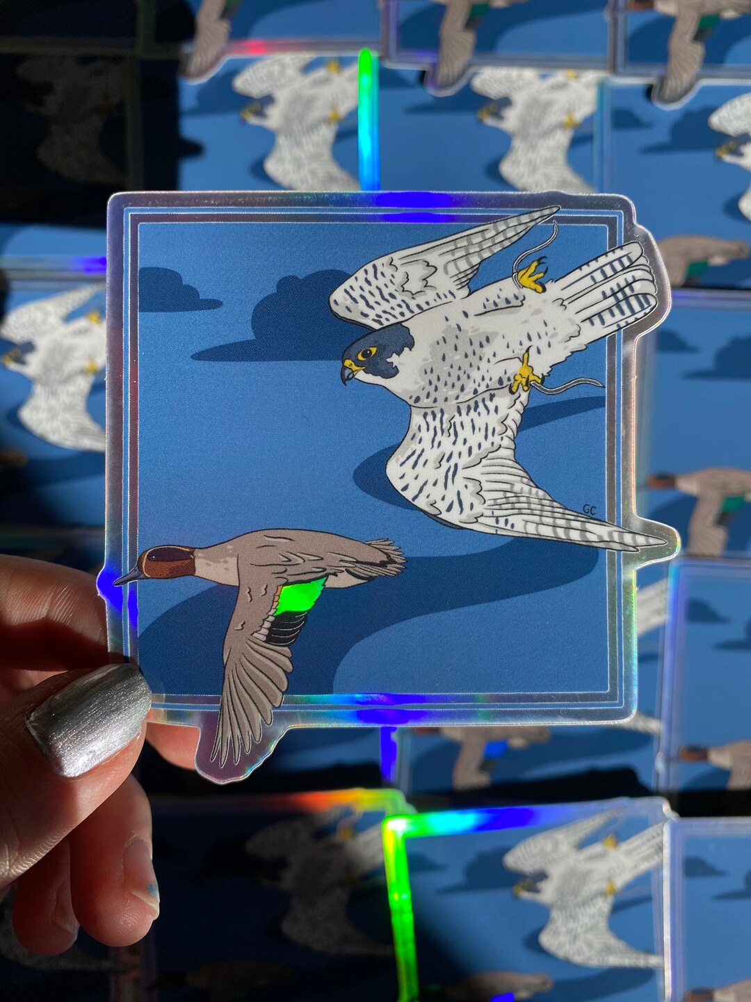 Peregrine Falcon Sticker/ Bird Sticker/ Holographic Falconry Sticker ...