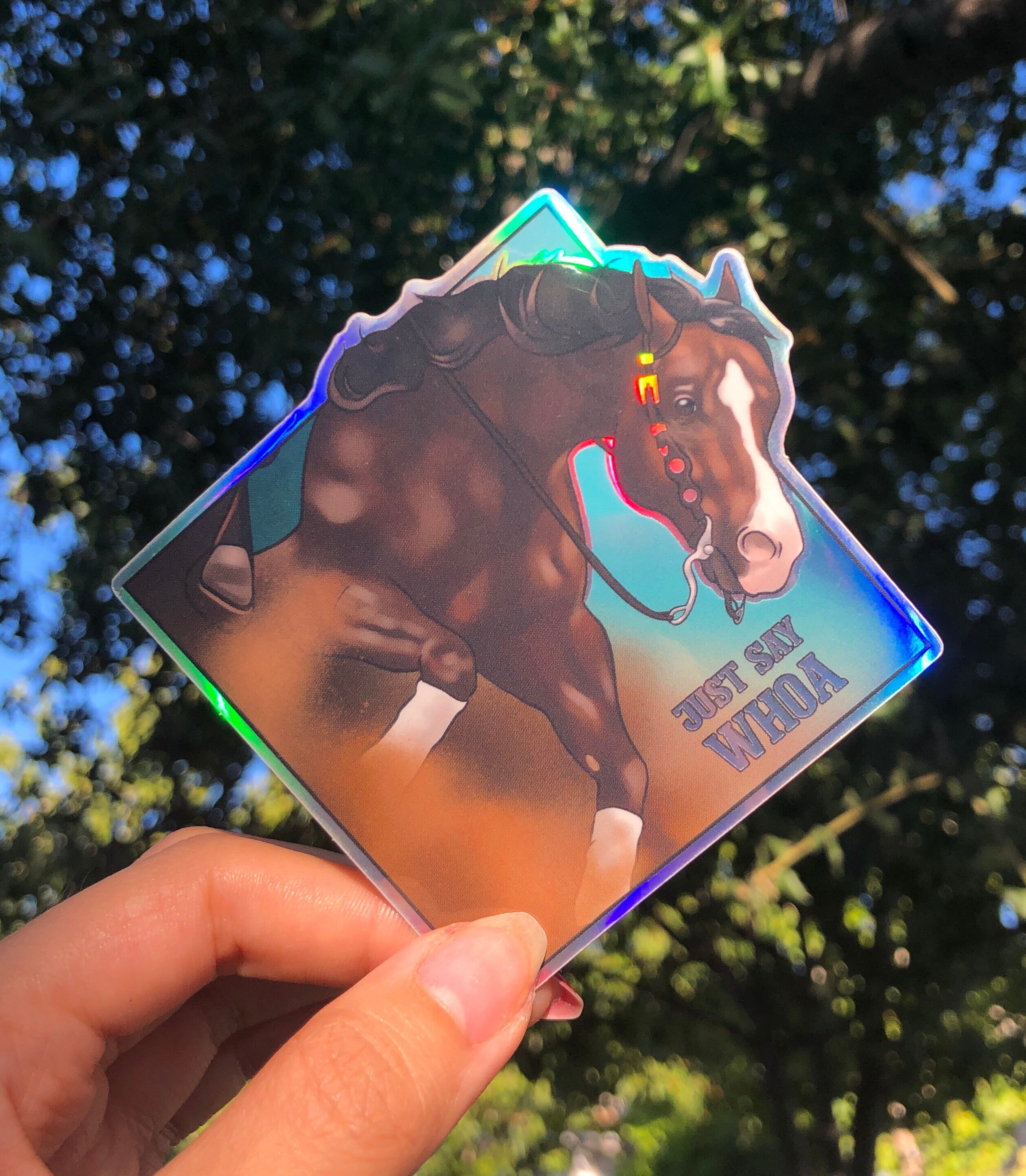 Reining Horse Sticker Quarter Horse AQHA Sticker - Etsy