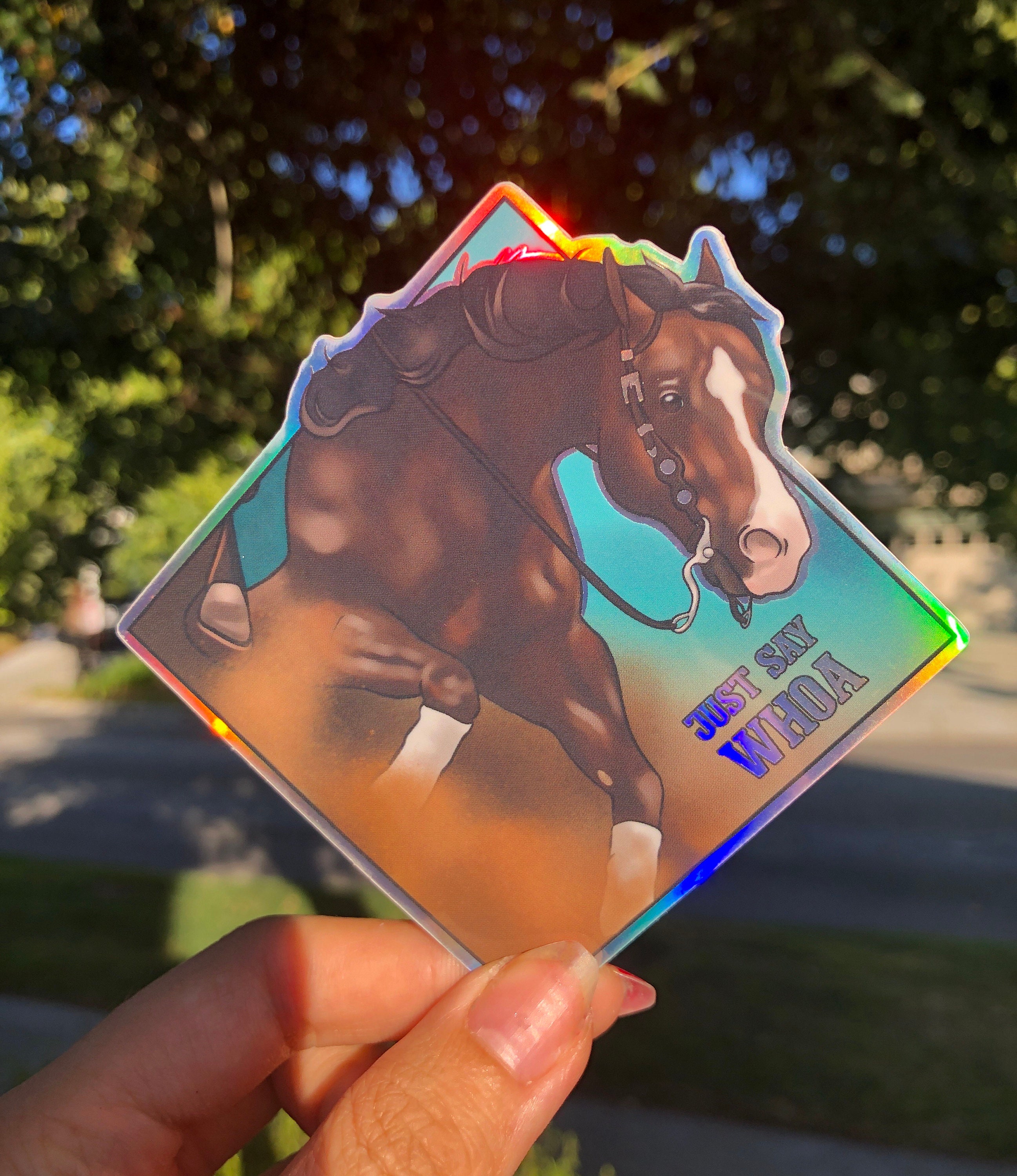 Reining Horse Sticker Quarter Horse AQHA Sticker - Etsy