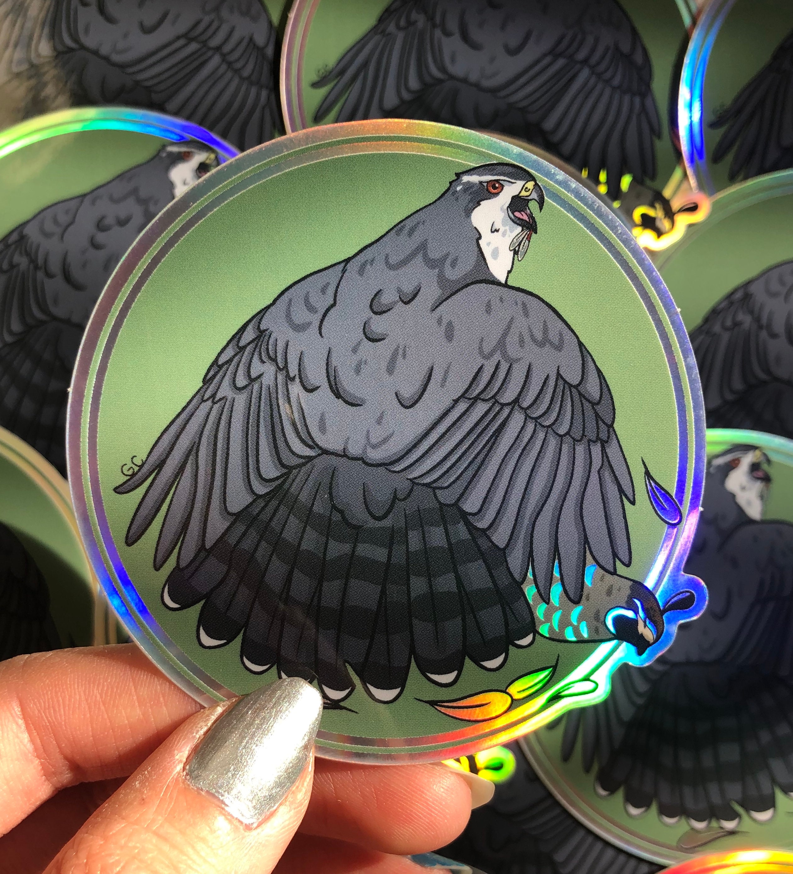 Goshawk Sticker/ Bird Sticker/ Holographic Falconry Sticker/ Raptor ...