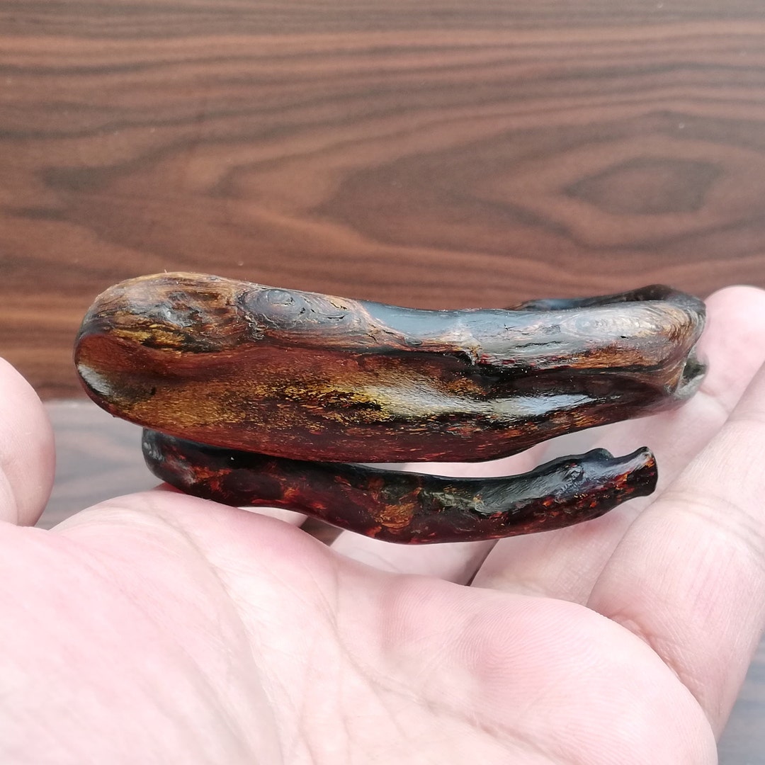Brahma Akar Bahar Bracelet, Coral Root Bangle, Black Magic Resistant ...