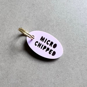Micro Chipped Dog Tags, Pet ID Tags for Dogs and Cats - Etsy