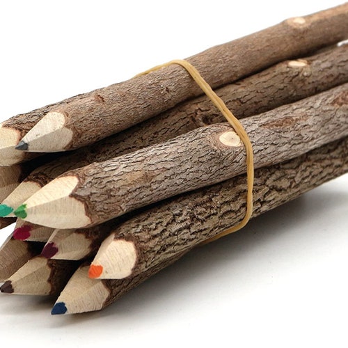 Branch and Twig Assorted Color Pencils 10 Count Approximately - Etsy