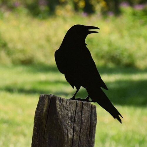 Raven Crow Metal Bird Yard Garden Art Back View Free - Etsy