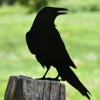 Crows Metal Wall Art, Black Crow Sign, 3-6 Pieces Raven Decor, Young ...