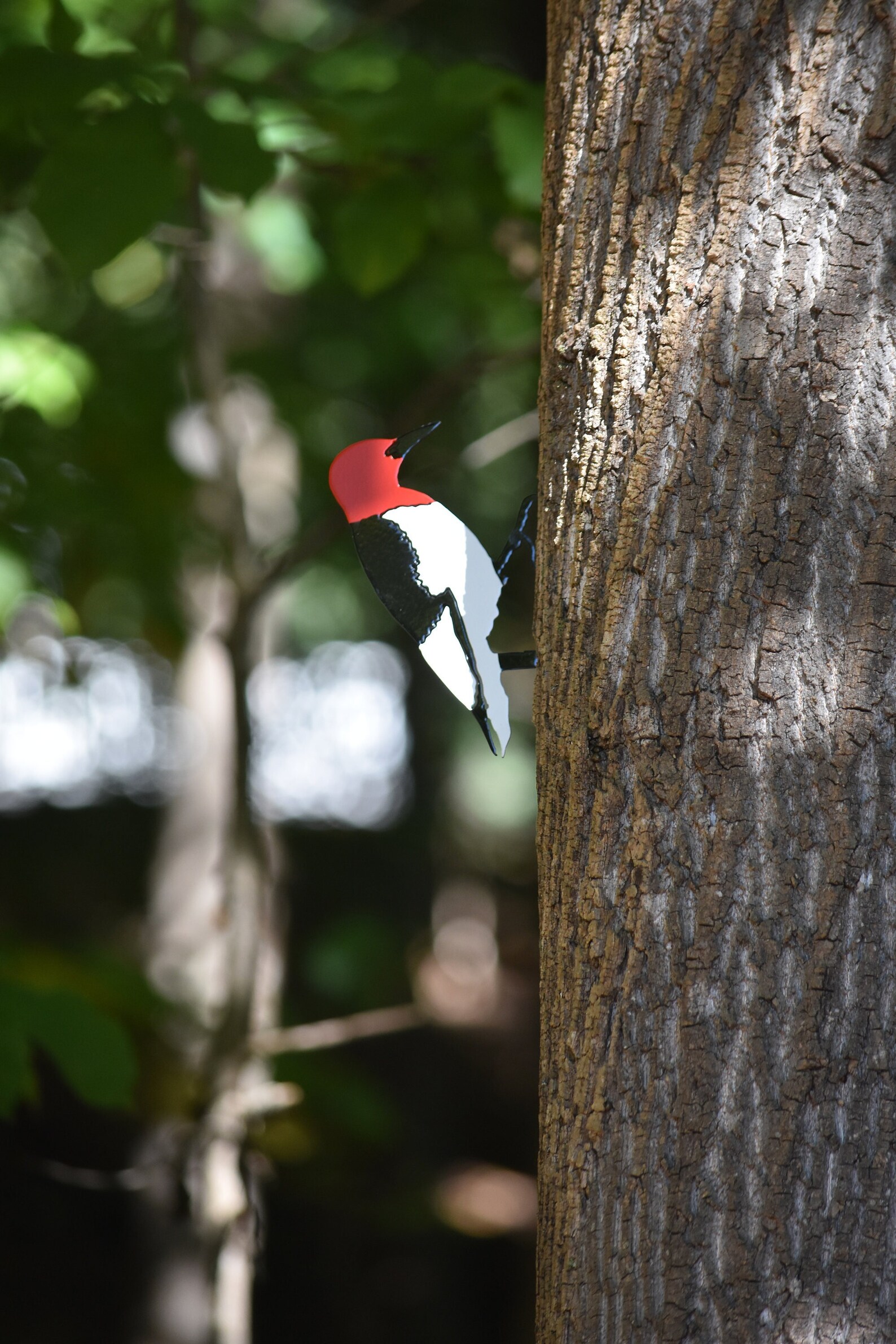 Red Headed Woodpecker Metal Bird Garden / Yard Art - Great Gift - Free ...