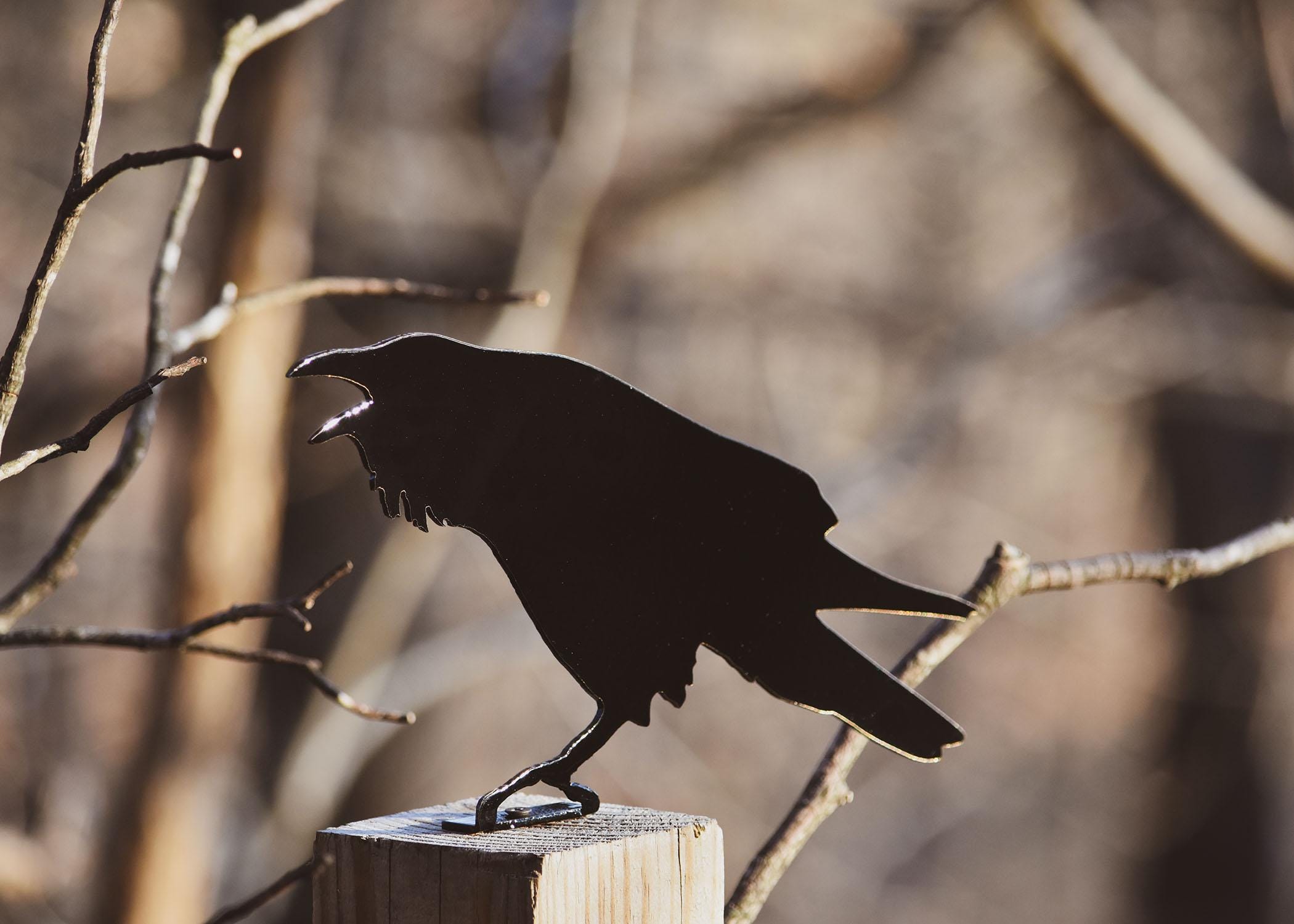 LARGE 16" Raven Crow Metal Bird Steel Yard Garden Art - Free Shipping ...