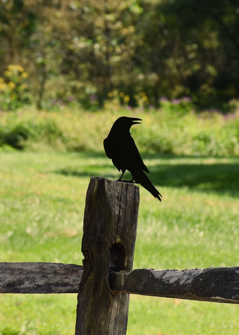 Raven Crow Metal Bird Yard Garden Art Back View Free - Etsy