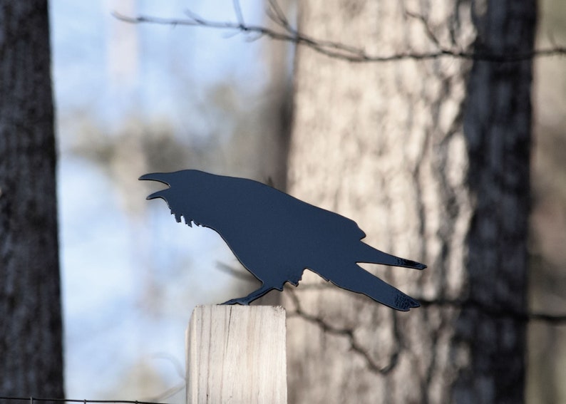 Raven Crow Metal Bird Steel Yard Garden Art Free Shipping - Etsy