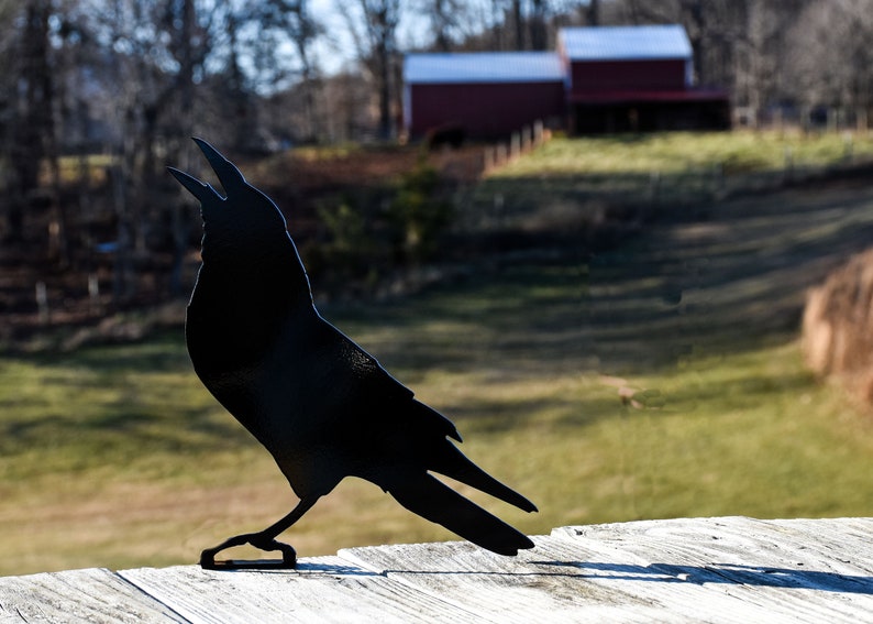 Raven Crow Metal Yard Art - Free Shipping - Great Gift - AA - Etsy