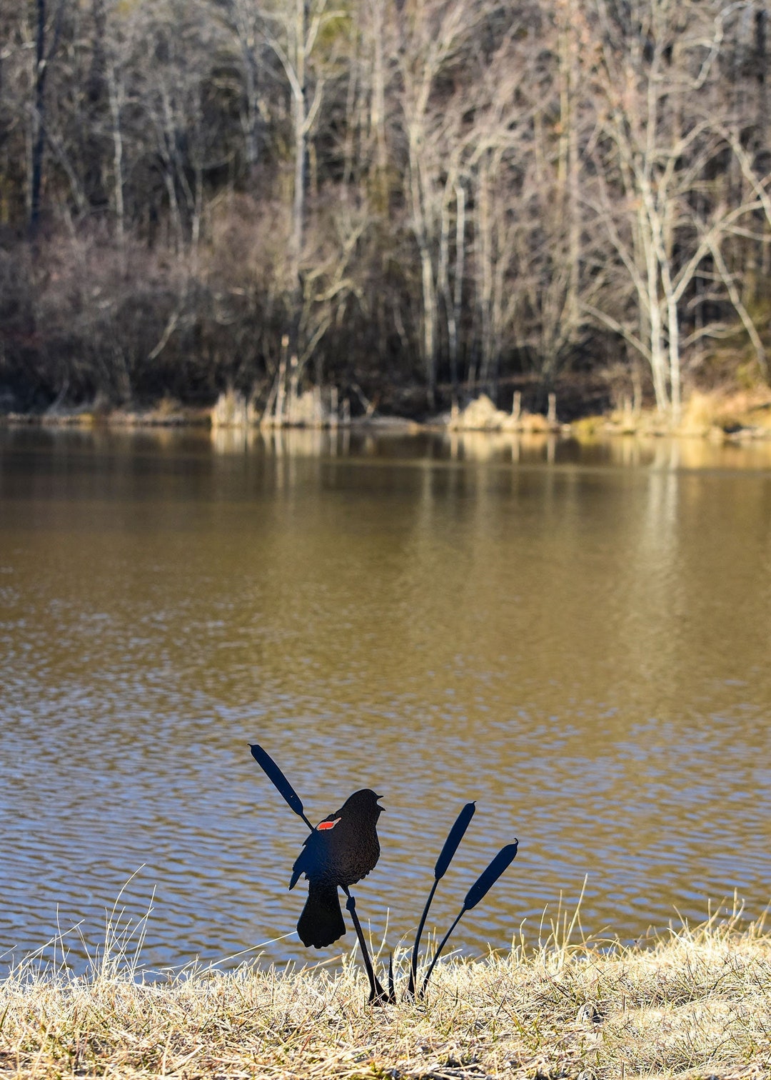 Red Winged Blackbird Metal Bird Garden / Yard Art - Gift - Free ...