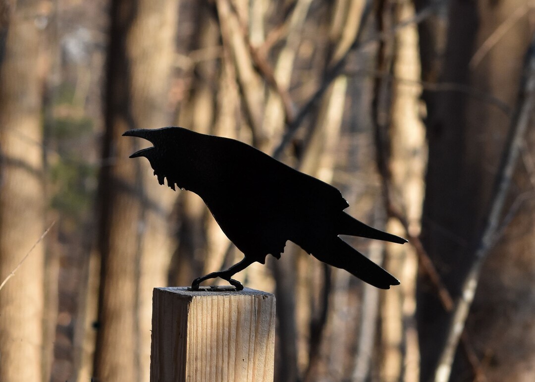LARGE 16 Raven Crow Metal Bird Steel Yard Garden Art Free Shipping - Etsy
