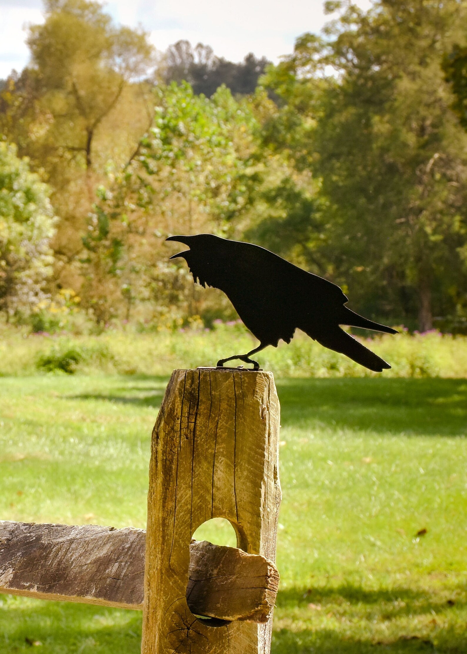 Raven Crow Metal Bird Steel Yard Garden Art Free Shipping - Etsy