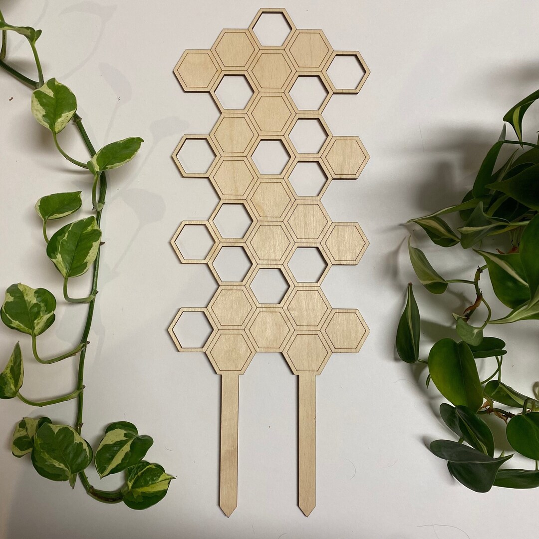 Large Hex Houseplant Trellis Lasercut Hexagon Wooden Trellis Best for 4 ...