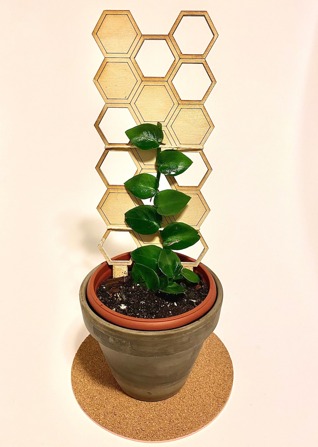 Small Hex Houseplant Trellis Lasercut Hexagon Wooden Trellis Best for 4 ...