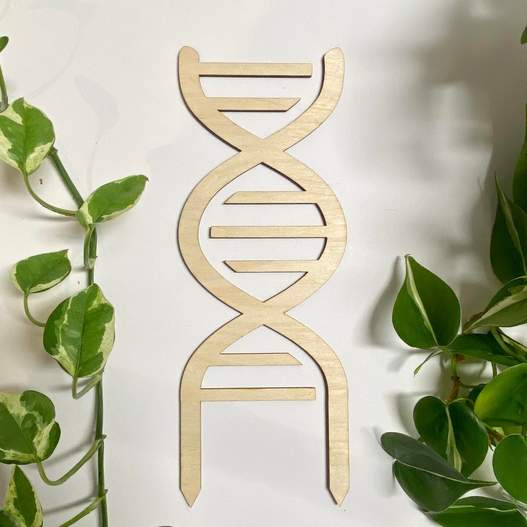 DNA Houseplant Trellis Simple Double Helix Lasercut Wooden Trellis ...