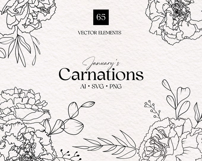 Carnation January Birth Month Flower SVG - Birthday Flower PNG, Hand ...