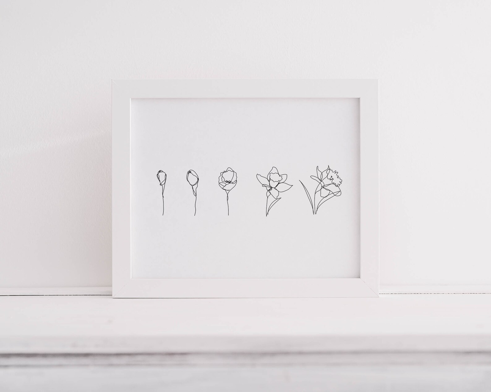 Life of a Daffodil One Line Drawing DIGITAL DOWNLOAD Print Flower Art ...