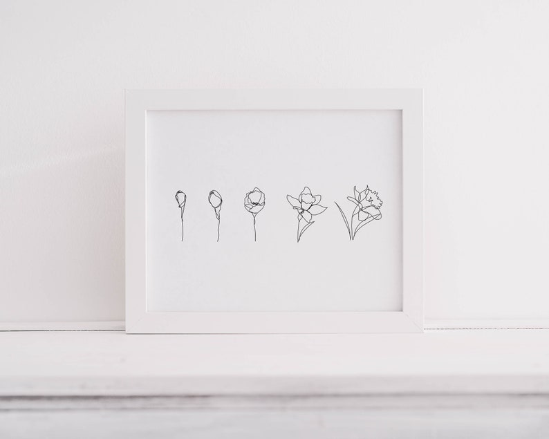 Life of a Daffodil One Line Drawing DIGITAL DOWNLOAD Print Flower Art ...