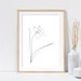 Daffodil One Line Drawing DIGITAL DOWNLOAD Print Flower Art - Etsy