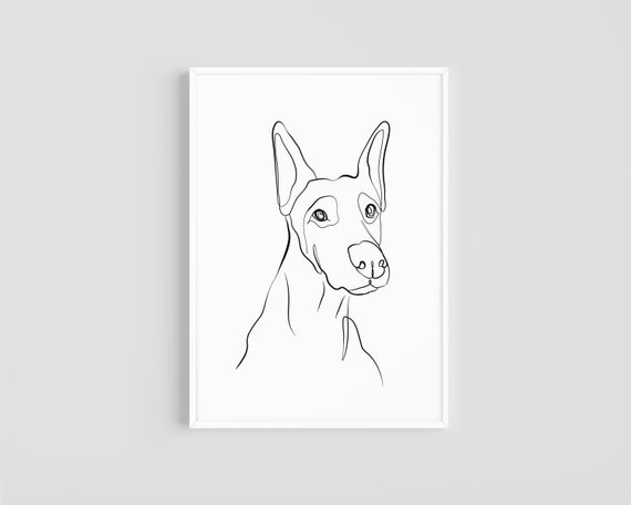 Doberman Line Drawing