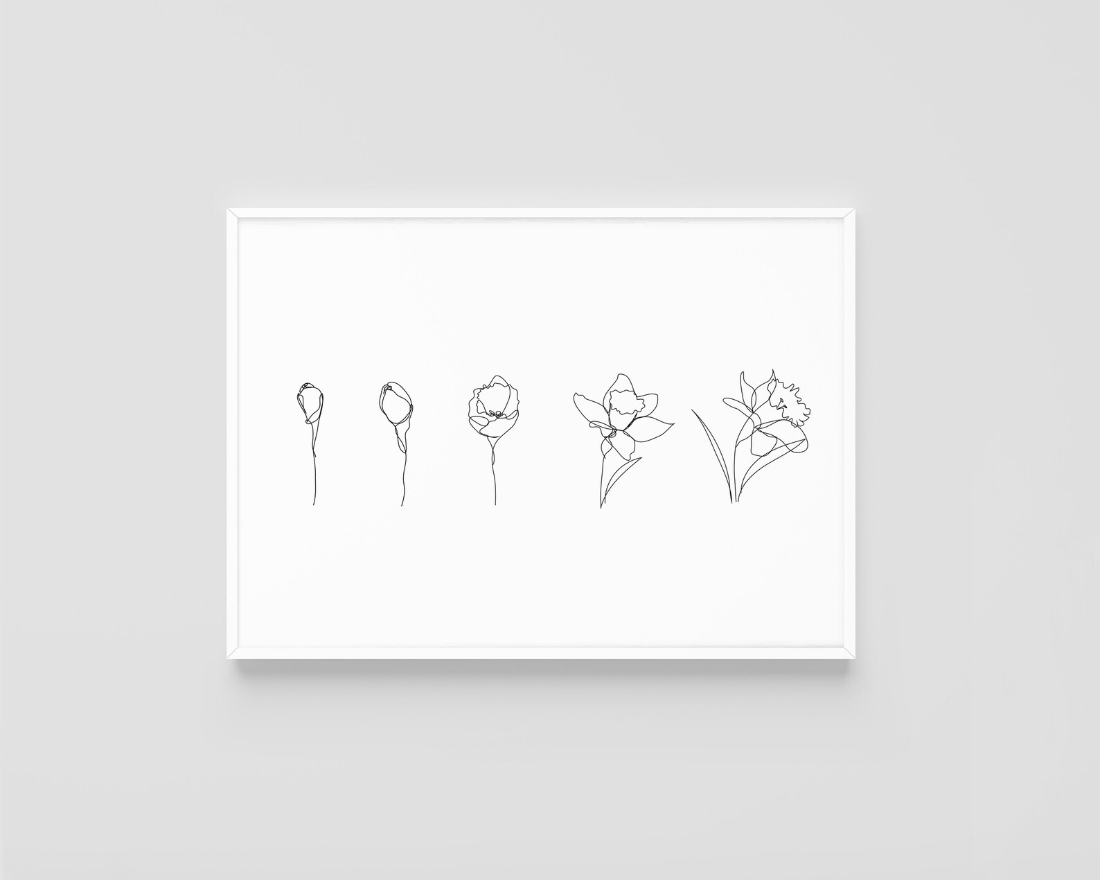 Life of a Daffodil One Line Drawing DIGITAL DOWNLOAD Print Flower Art ...