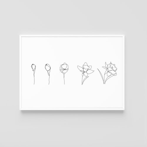 Daffodil One Line Drawing Spring Wall Art Nature Print - Etsy