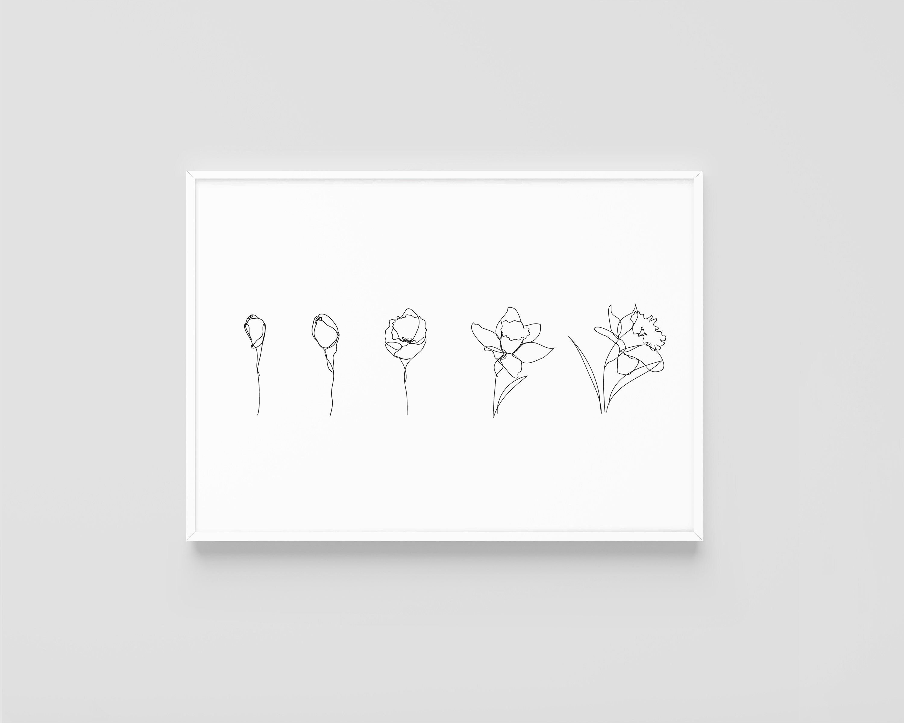 Life of a Daffodil One Line Drawing DIGITAL DOWNLOAD Print Flower Art ...