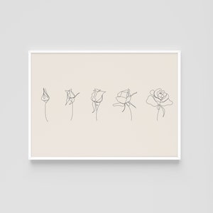 Life of Rose | One Line Drawing | Rose Art | Minimal Line Art ...