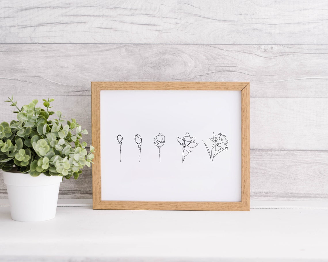 Life of a Daffodil One Line Drawing DIGITAL DOWNLOAD Print Flower Art ...
