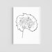 Poppy Poppies One Line Drawing DIGITAL DOWNLOAD Print Printable Flower ...