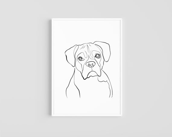 Boxer Dog Line Drawing