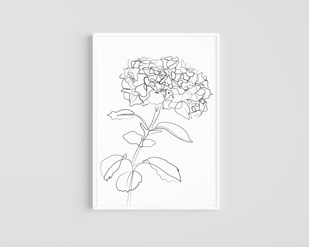Hydrangea Print | Hydrangea Art | Botanical Print | Minimal Line Art ...