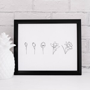 Life of a Daffodil One Line Drawing DIGITAL DOWNLOAD Print Flower Art ...
