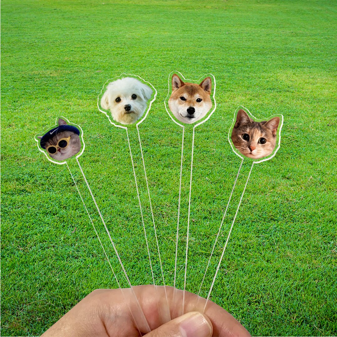 Custom Acrylic Wedding Pet Stir Sticks, Pet Wedding Cocktail Stirrers ...