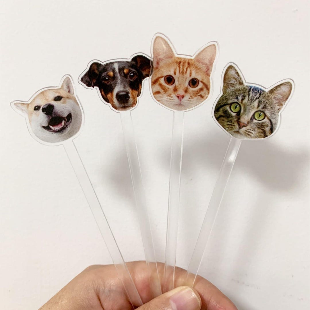 Personalized Acrylic Dog Cat Drink Stir Stick,custom Pet Drink Stir ...