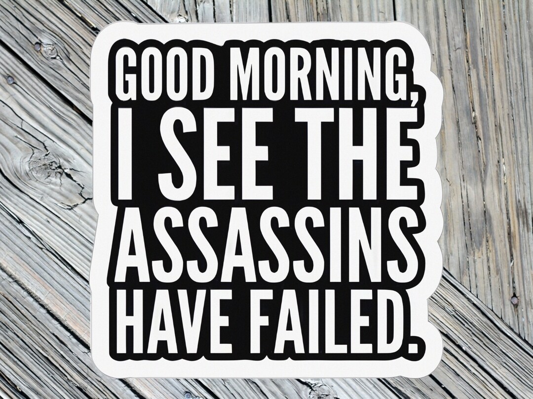 Assassin Funny, Sticker Vinyl, Waterproof UV Laminated, Fast FREE ...