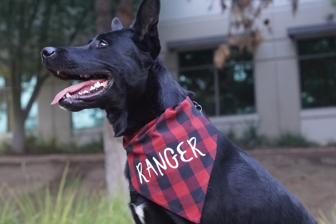 Winter Red Plaid Dog Bandana - Personalized, Teddy&co. - Etsy